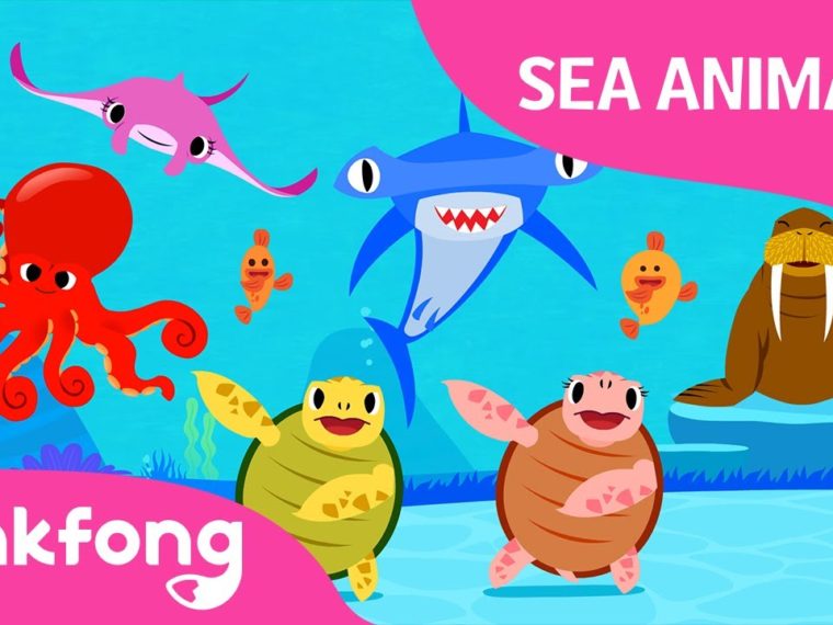 Move Like Sea Animals - Cmovie - 教育に特化した無料動画サイト- シームービー・オンライン学習サイト